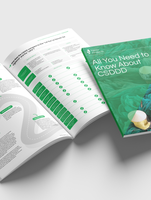 Factsheet: All You Need to Know About CSDDD